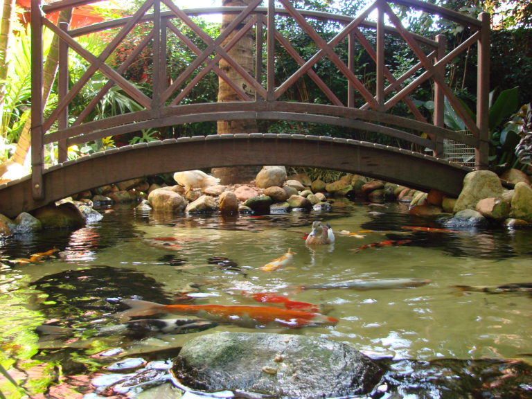 Lago artificial: Como fazer? - TC