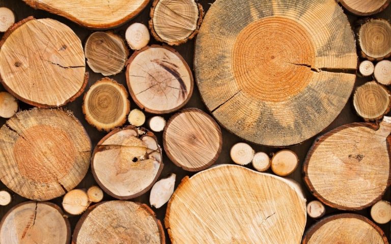 Stain para Madeira: Para que serve? Como Usar? - TC