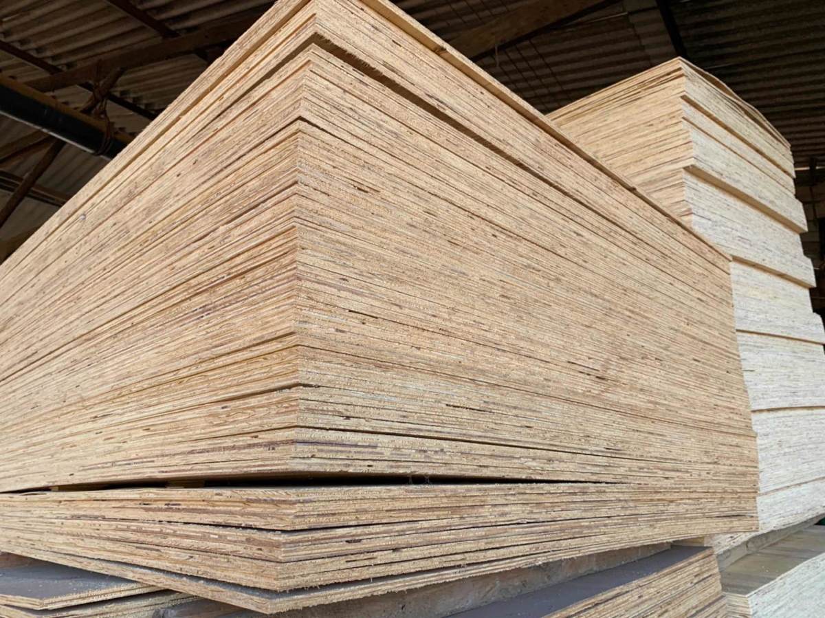 Madeirite - O Que É E O Que Você Precisa Saber! - TC