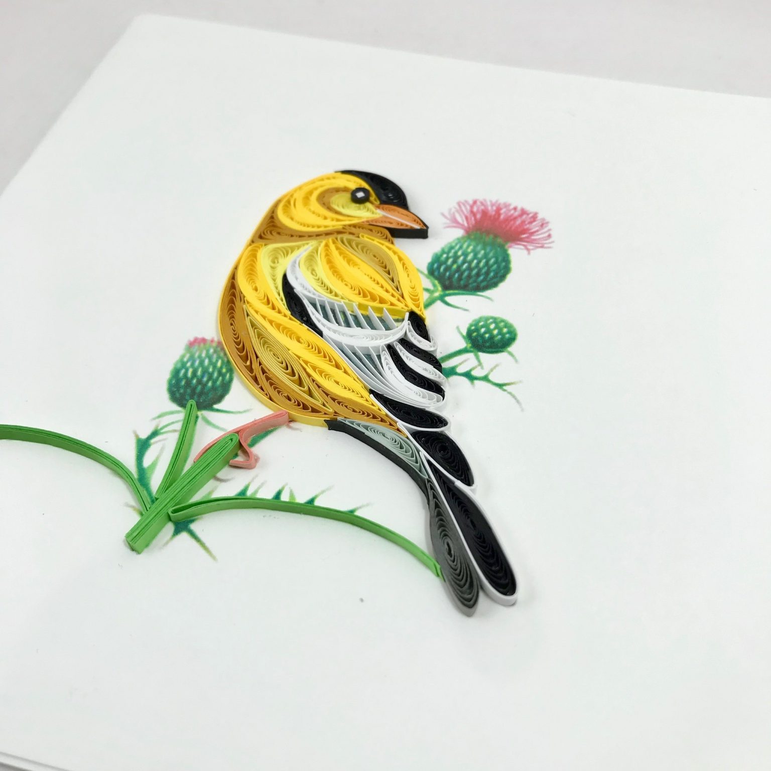 Quilling: Passo a Passo para Iniciantes, Guia Completo! - TC