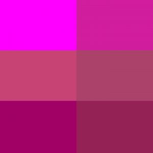 Fúcsia: Conheça Essa Cor Cheia de Personalidade com 70 Inspirações