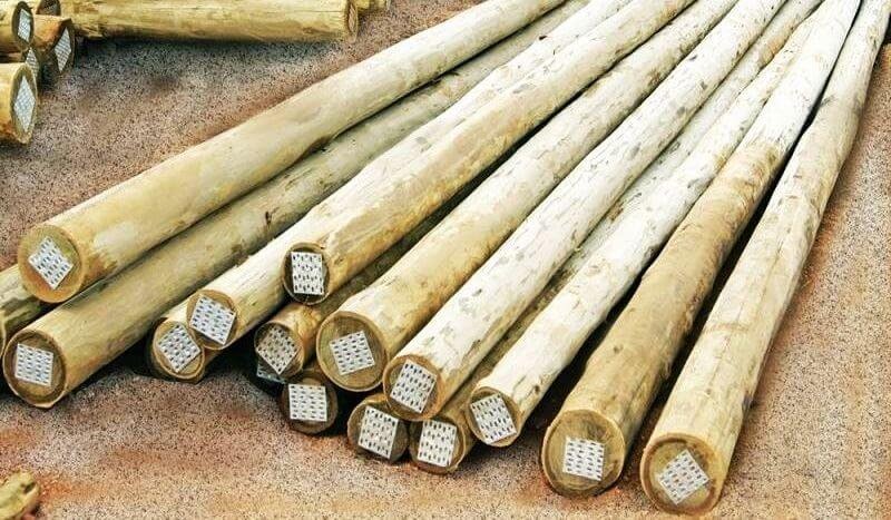 Estaca De Madeira - O Que É? Para Que Serve? - TC